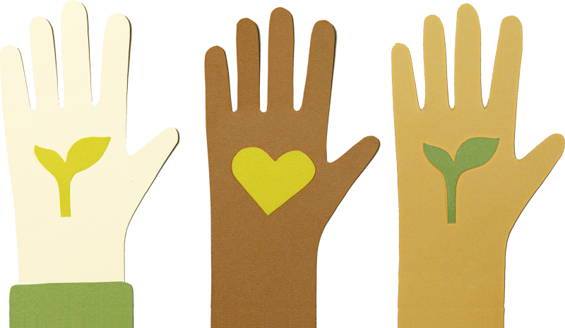 Zero Waste Alliance Ireland - Working towards a world without waste